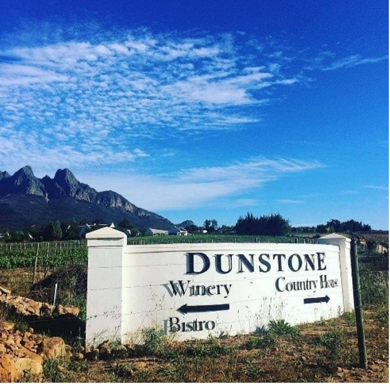 FIVE WELLINGTON WINE FARMS TO EXPLORE DURING SUMMER - Discover Wellington